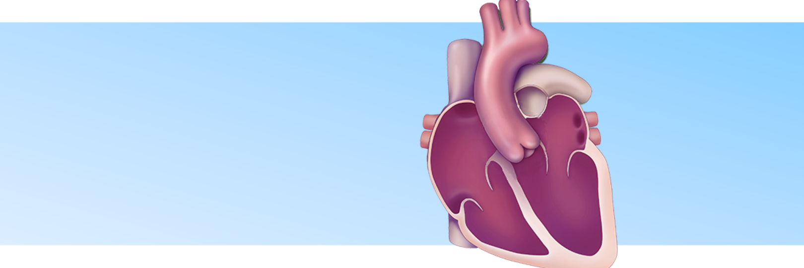 Home - Heart Valve Voice US